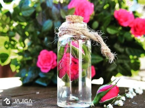 گلابگیری کاشان، گردشی صورتی در شهر گلاب